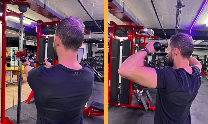 10 Cable Back Exercises To Add To Your Workout Routine